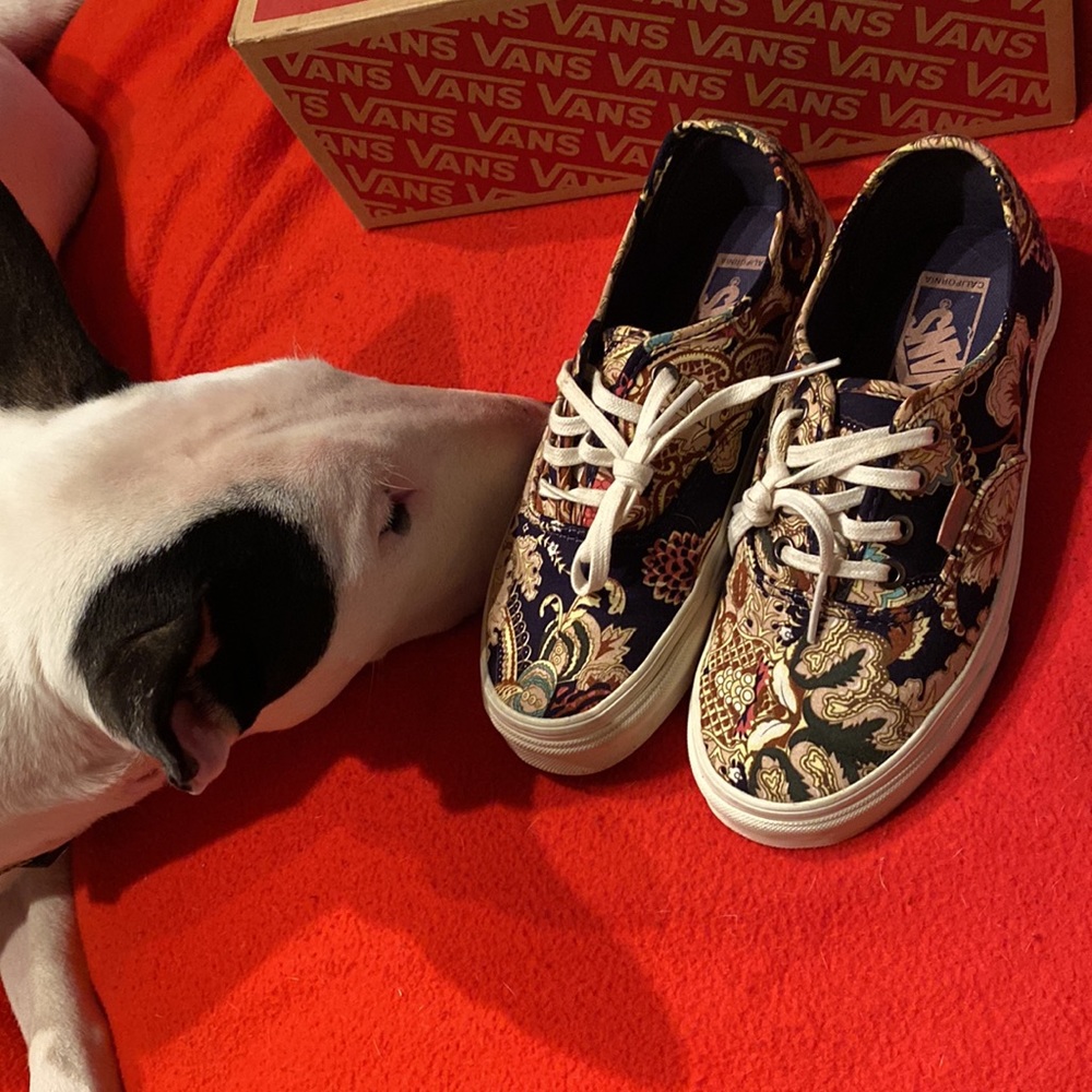 Vans California Authentic Shoes - Gem